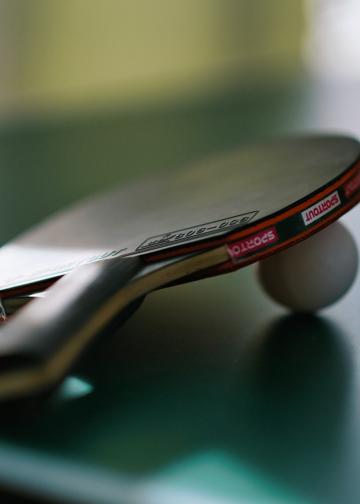 begginner ping pong bat