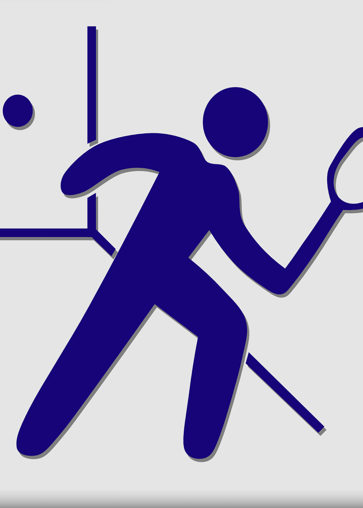 Racquetball for Dummies - How to Play Racquetball?