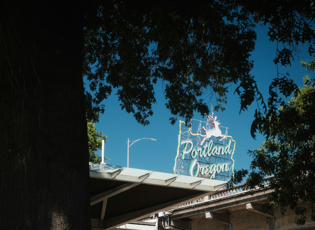 Who Will Be the New WNBA Expansion Teams? SF, Toronto, and