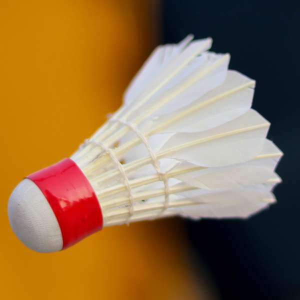 How to Play Badminton: Get the Basics for Smashing Success